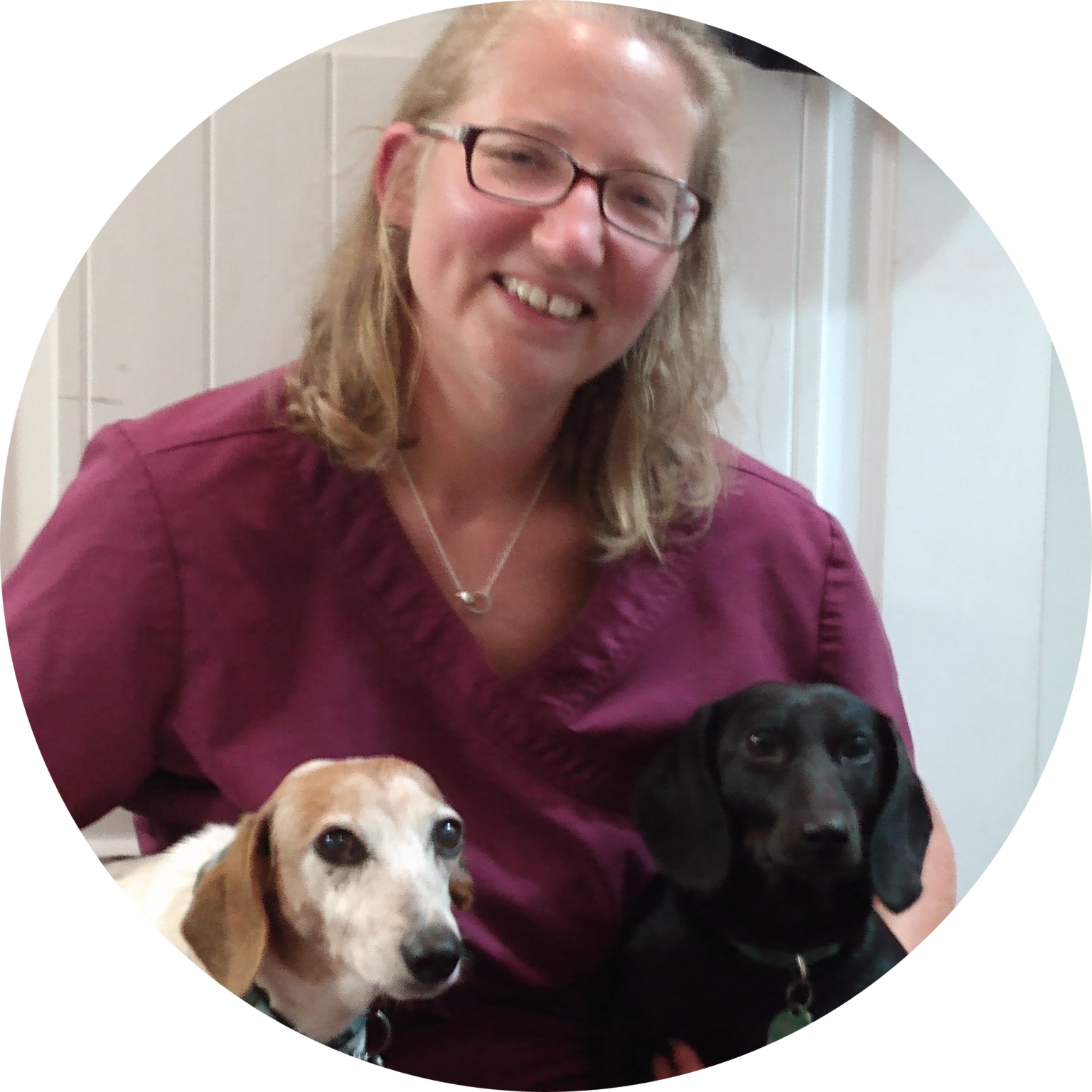 Dr. Kelly Hood, DVM - Pets Beam
